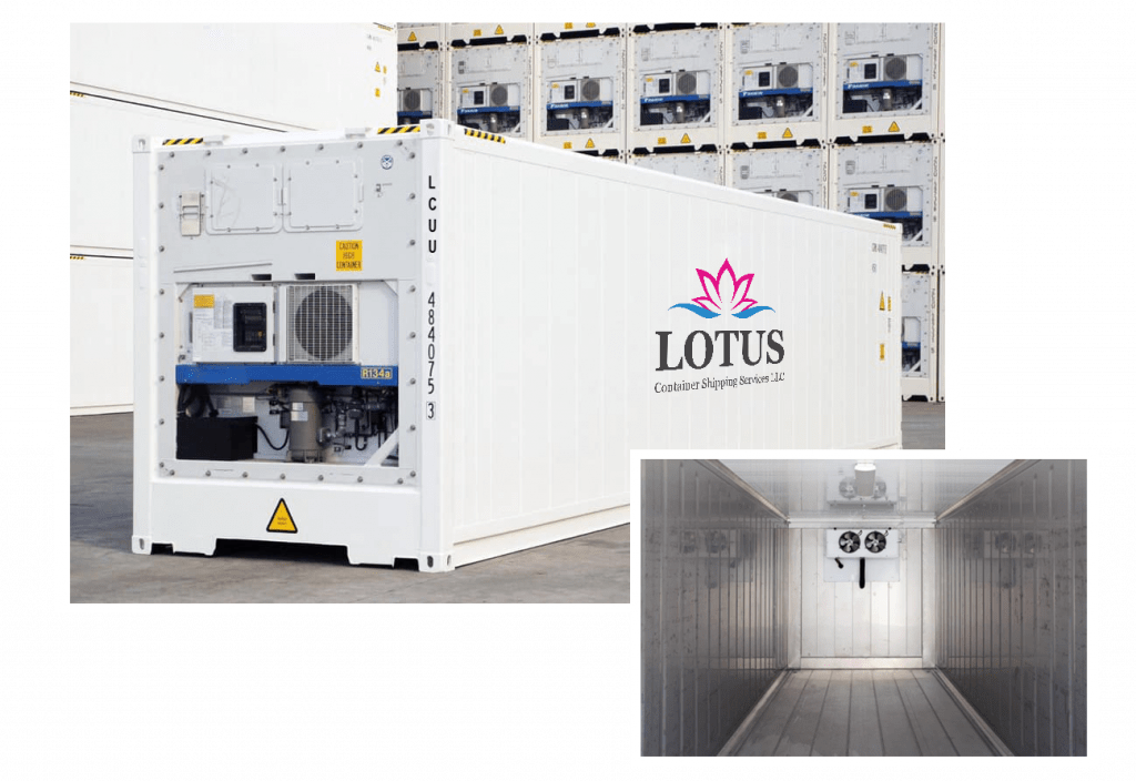 Container Trading - Lotus Container Shipping Services LLC