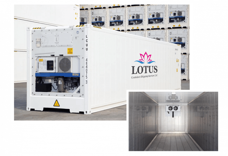 Container Trading - Lotus Container Shipping Services LLC